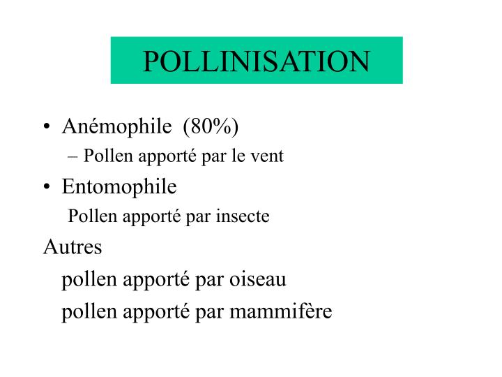 PPT - Reproduction chez les plantes PowerPoint Presentation - ID:3567511