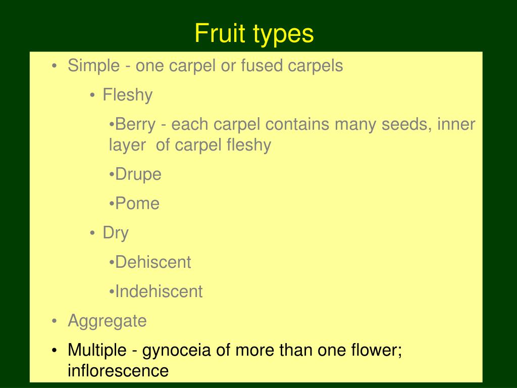 PPT - BOT3015L Biology of Flowering Plants: Reproduction Gametophytes ...
