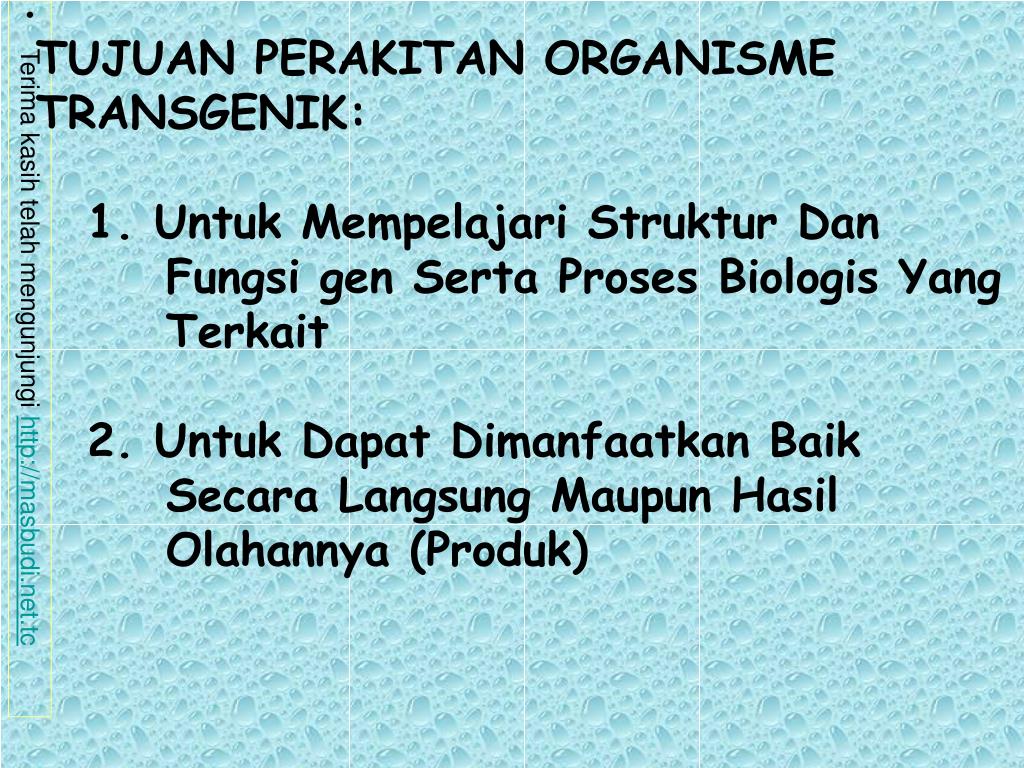 PPT - TRANSGENESIS : Proses Perakitan Organisme Transgenik Organisme ...