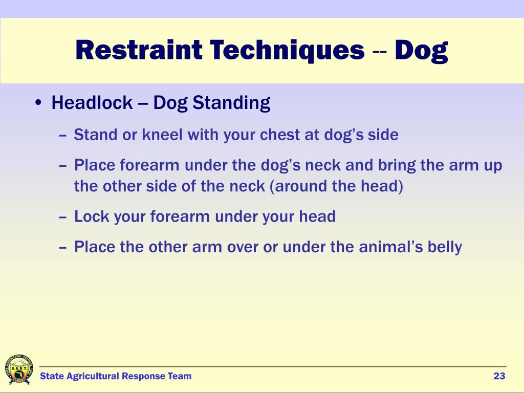 PPT - Pets and Disaster Emergency First Aid for Cats and Dogs ...