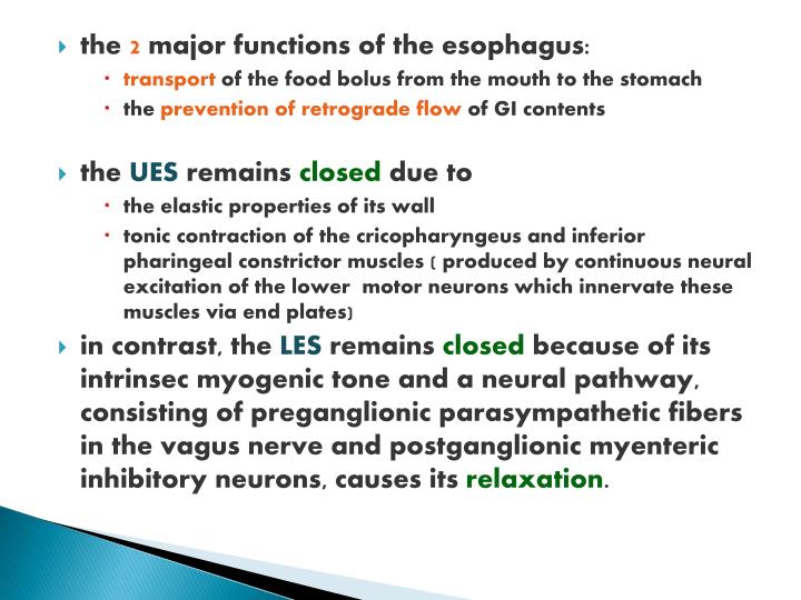 PPT - ESOPHAGEAL MOTOR DISORDERS PowerPoint Presentation - ID:3568350