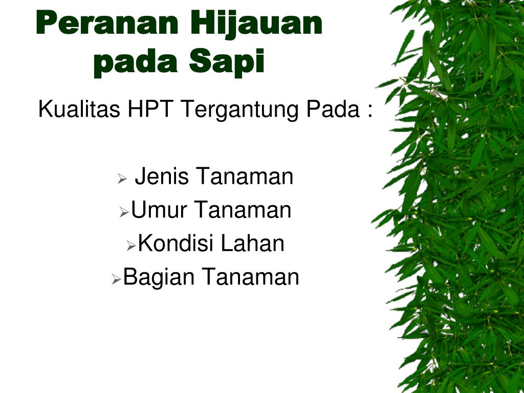 PPT - Kerjasama Antara Universitas Brawijaya dan Bank Indonesia ...
