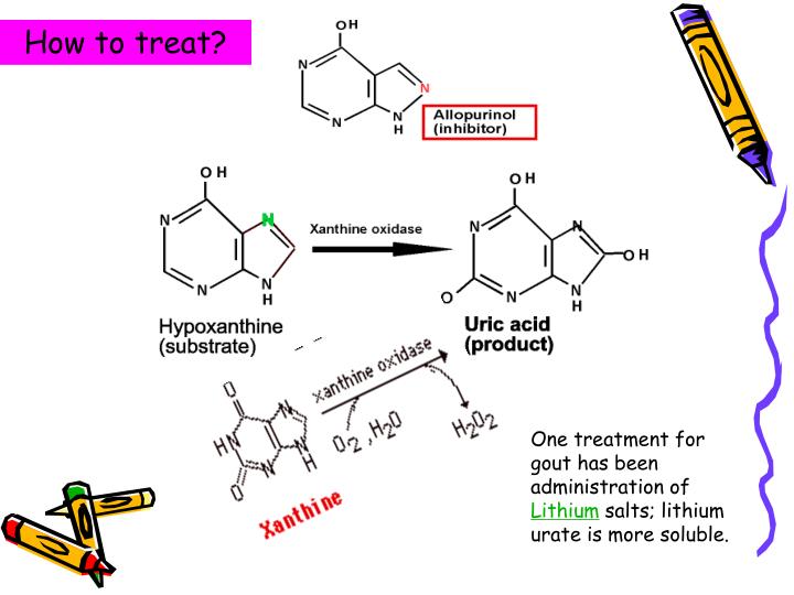 PPT - Uric acid PowerPoint Presentation - ID:3568648
