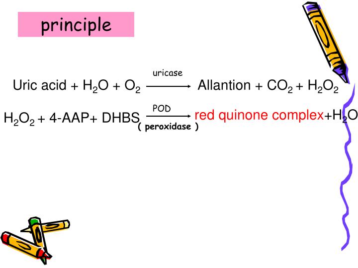 PPT - Uric acid PowerPoint Presentation - ID:3568648