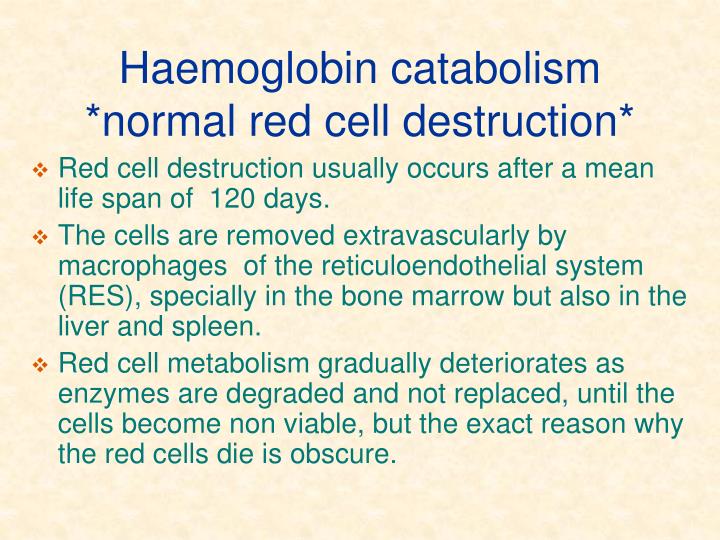 PPT - Blood Biochemistry PowerPoint Presentation - ID:3570049