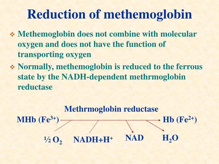 PPT - Blood Biochemistry PowerPoint Presentation - ID:3570049