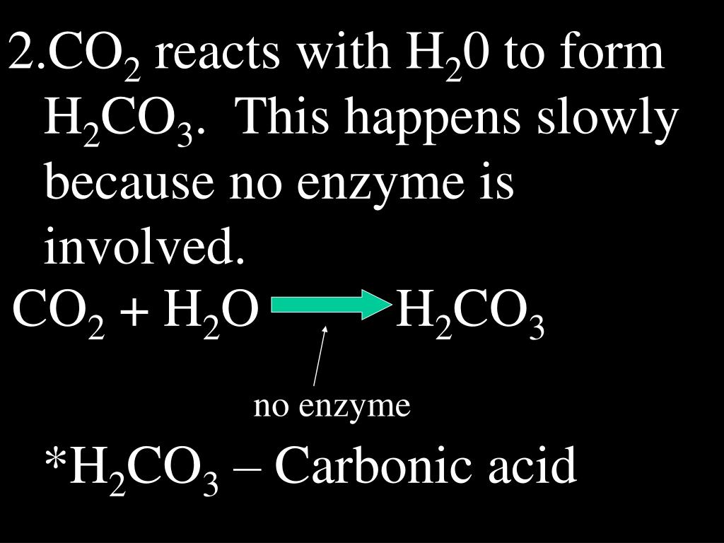 PPT - Gas Transport Via Circulation- Oxygen and Carbon Dioxide ...