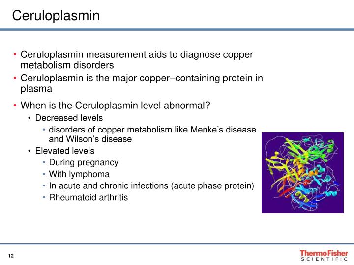 PPT - Cystatin C, Lipoprotein(a) and Ceruloplasmin in the Thermo ...