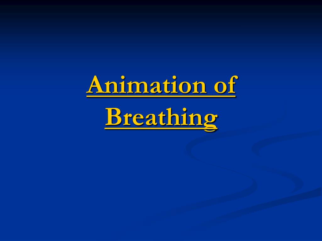 PPT - Respiratory System Witty/Woods PCB Biology PowerPoint ...
