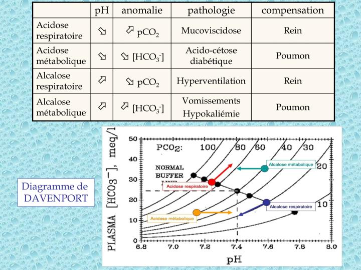 Ppt Electrolytes Gaz Du Sang Powerpoint Presentation Id 3570768
