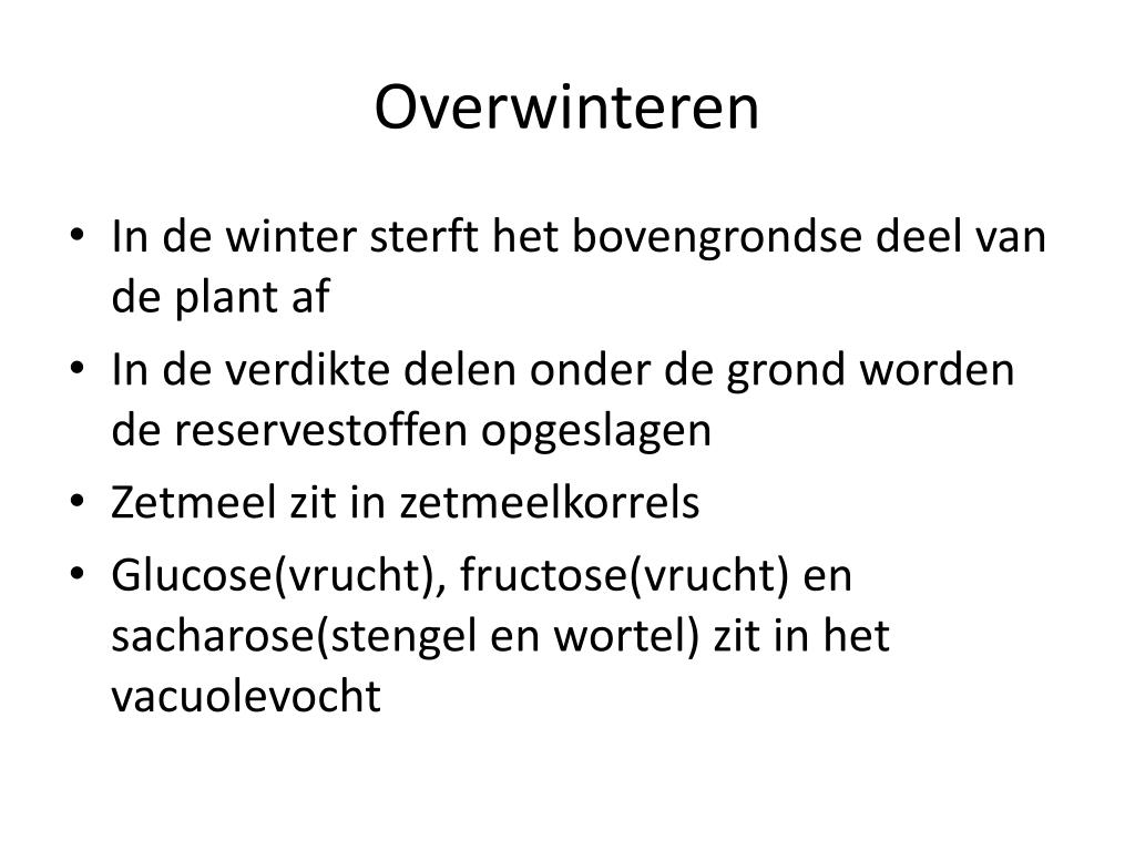 PPT - Totaal aan Ppt H1 (Am) PowerPoint Presentation, free download ...