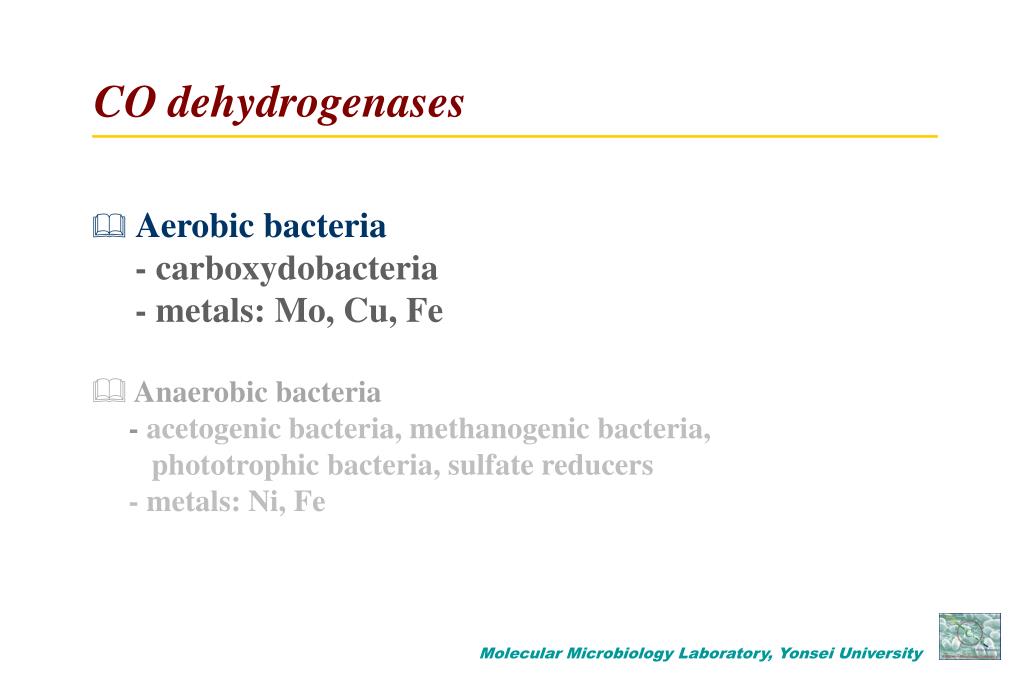 PPT - Carbon monoxide dehydrogenase: A novel target for the development ...