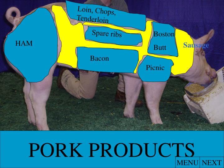 PPT - HAM PowerPoint Presentation, free download - ID:3571149