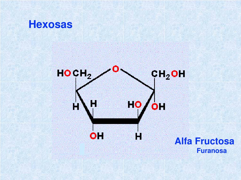 PPT - Azúcares, Glúcidos, Carbohidratos o Hidratos de Carbono ...