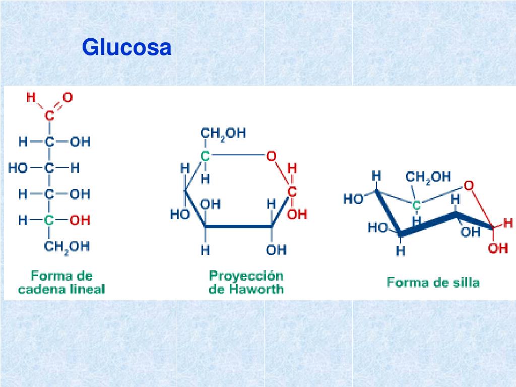 PPT - Azúcares, Glúcidos, Carbohidratos o Hidratos de Carbono ...