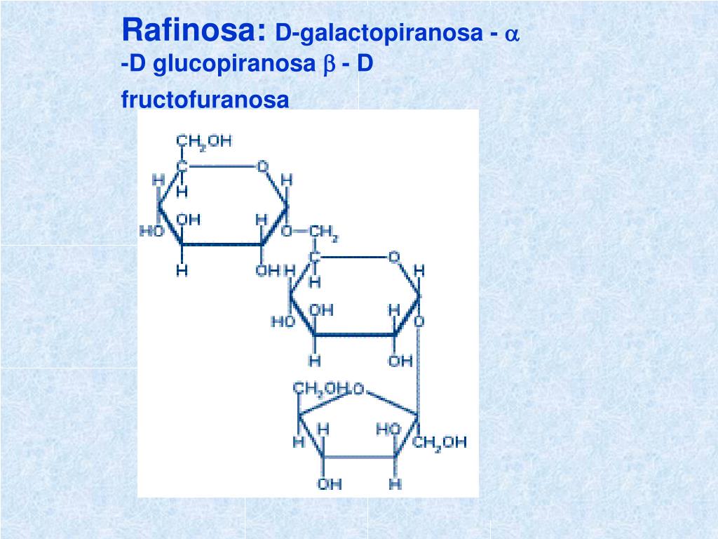 PPT - Azúcares, Glúcidos, Carbohidratos o Hidratos de Carbono ...