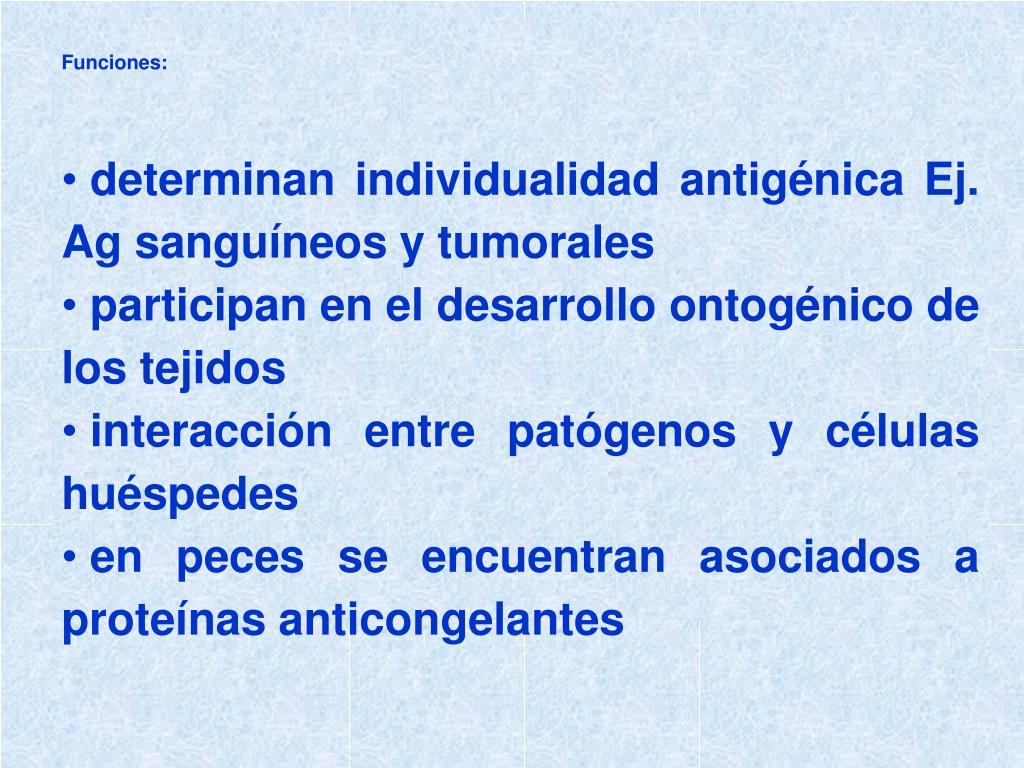 PPT - Azúcares, Glúcidos, Carbohidratos o Hidratos de Carbono ...