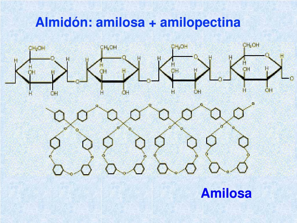 PPT - Azúcares, Glúcidos, Carbohidratos o Hidratos de Carbono ...