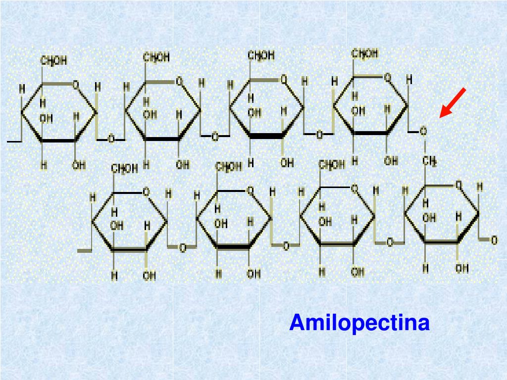 PPT - Azúcares, Glúcidos, Carbohidratos o Hidratos de Carbono ...