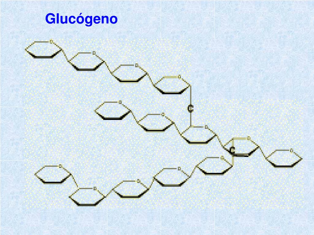 PPT - Azúcares, Glúcidos, Carbohidratos o Hidratos de Carbono ...