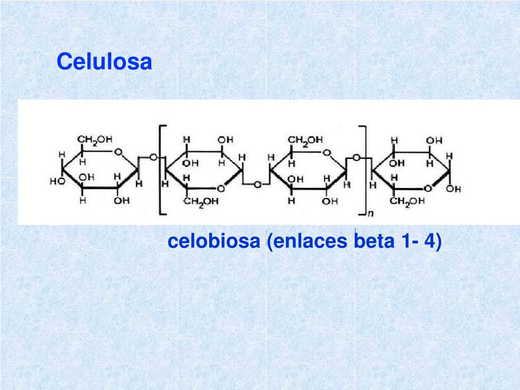 PPT - Azúcares, Glúcidos, Carbohidratos o Hidratos de Carbono ...