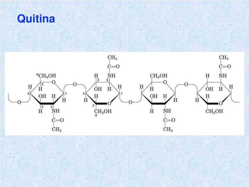 PPT - Azúcares, Glúcidos, Carbohidratos o Hidratos de Carbono ...