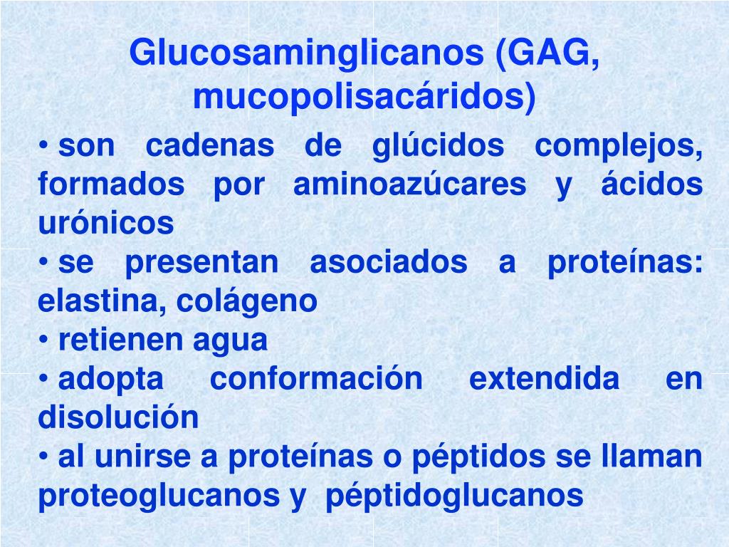 PPT - Azúcares, Glúcidos, Carbohidratos o Hidratos de Carbono ...