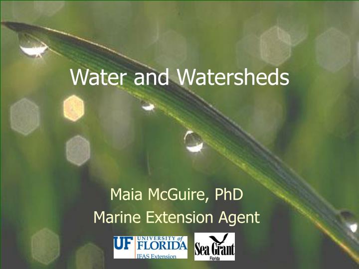PPT - Water and Watersheds PowerPoint Presentation, free download - ID ...
