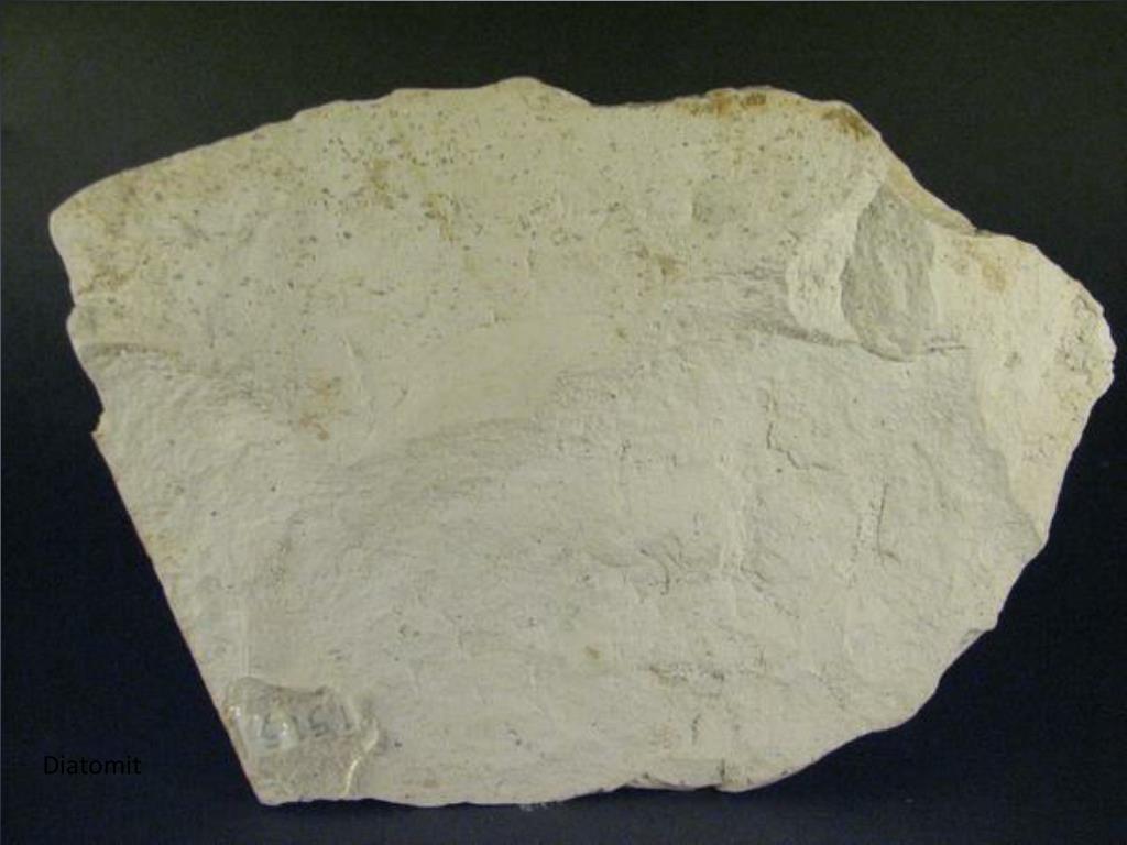 PPT - Geologický význam rias- DIATOMIT PowerPoint Presentation, free ...