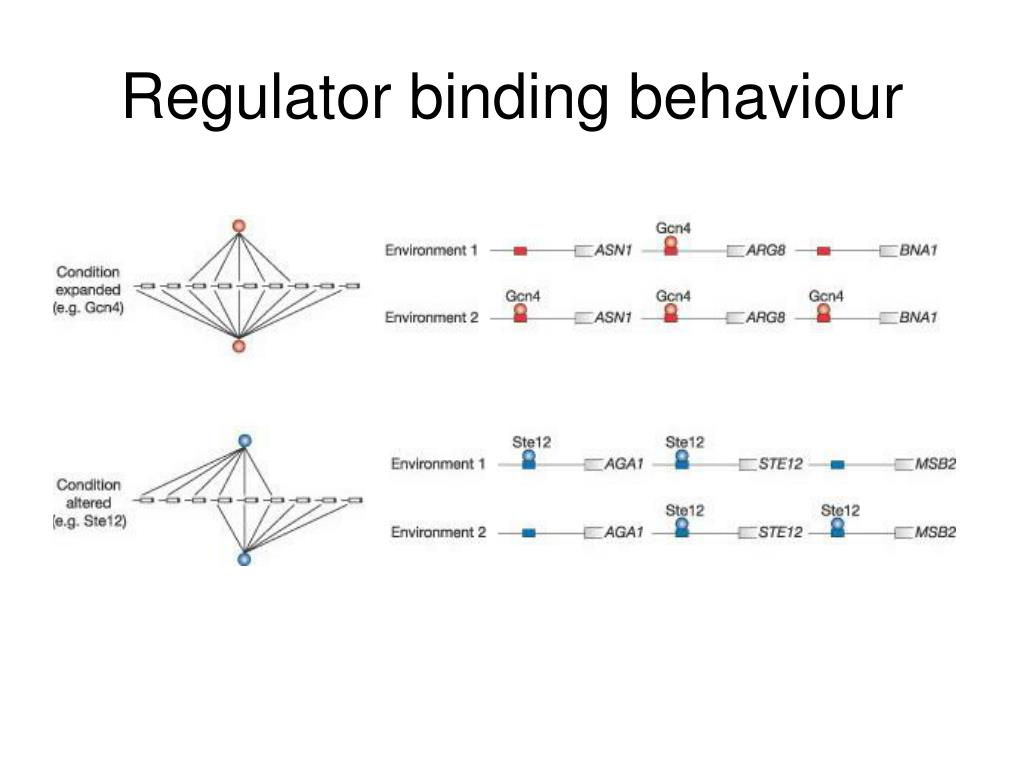 PPT - Transcriptional regulatory code of a eukaryotic genome PowerPoint ... PPT - Transcriptional regulatory code of a eukaryotic genome PowerPoint ...