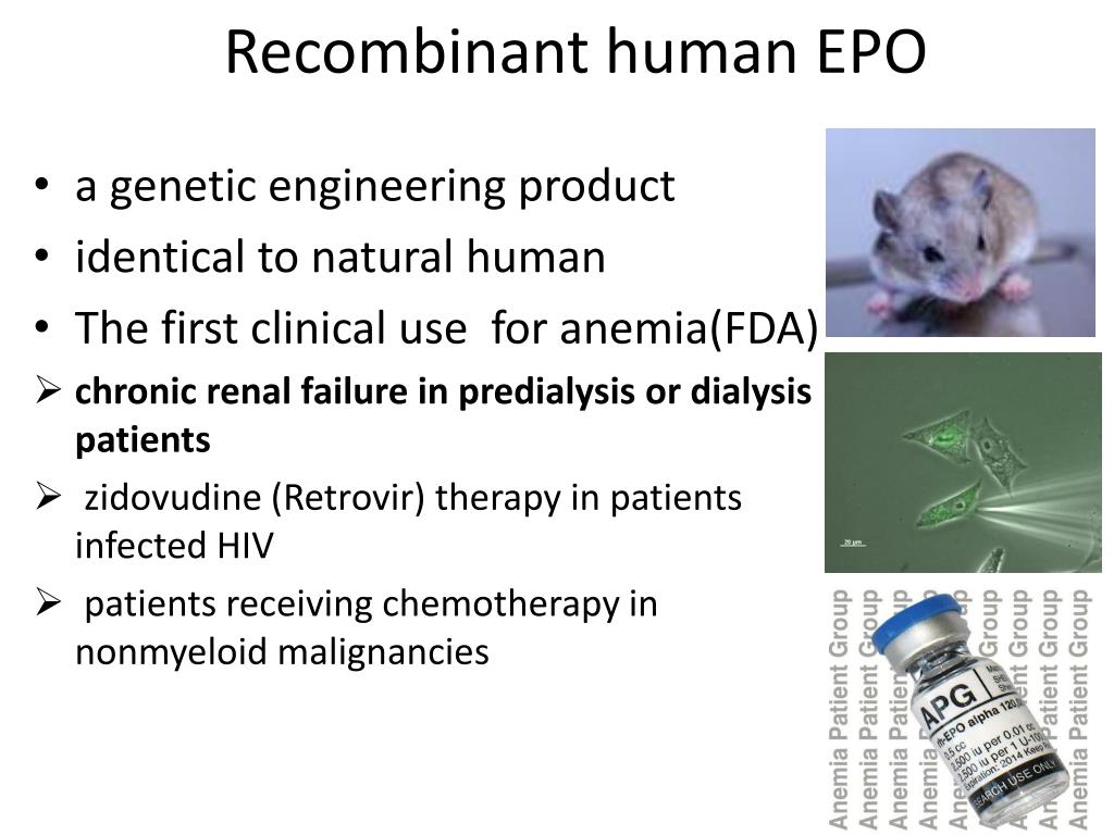 PPT - Erythropoietin and hemodialysis (anemia) PowerPoint Presentation ...