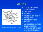 PPT - Metabolic Liver Disease PowerPoint Presentation - ID:3572883