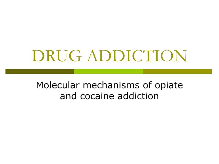 PPT - DRUG ADDICTION PowerPoint Presentation, free download - ID:3573146