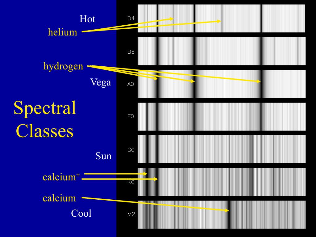 PPT - Announcements PowerPoint Presentation, free download - ID:3573384