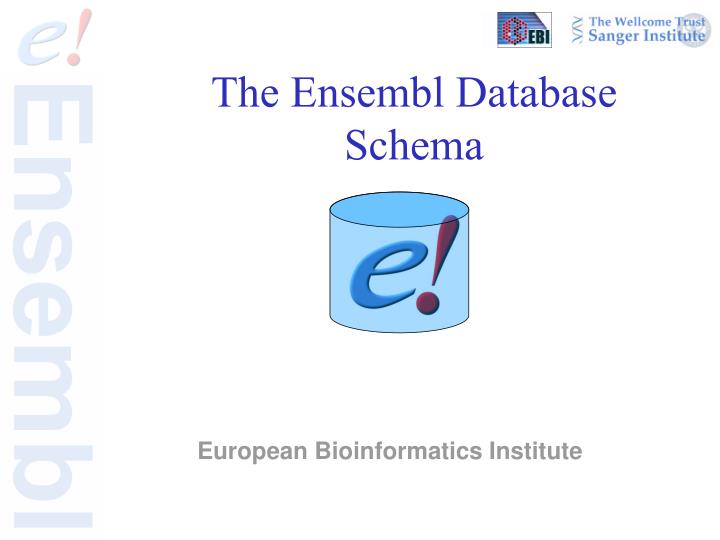 PPT - The Ensembl Database Schema PowerPoint Presentation, free ...