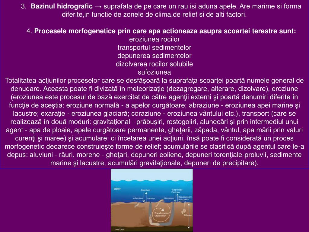 PPT - RELIEFUL CREAT DE APA CU CURGERE PERMANENTA(RELIEF FLUVIAL ...