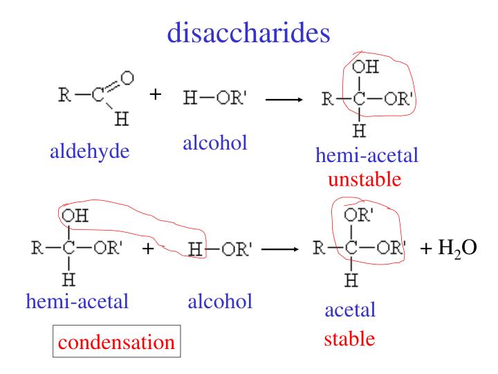 PPT - disaccharides PowerPoint Presentation, free download - ID:3575758