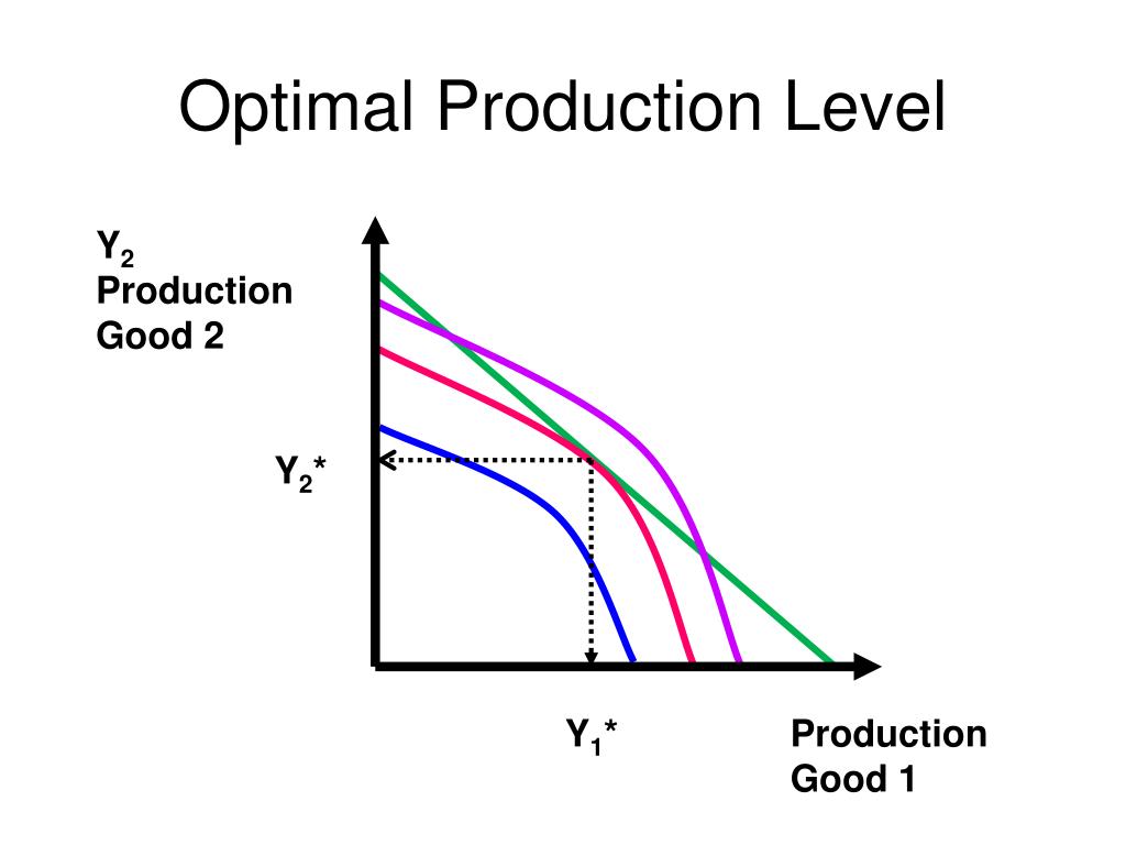 PPT - Welfare Economics and Sustainability PowerPoint Presentation ...