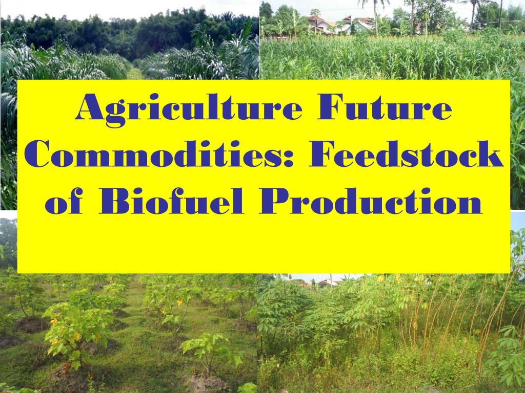 PPT - Agriculture Future Commodities: Feedstock of Biofuel Production ...