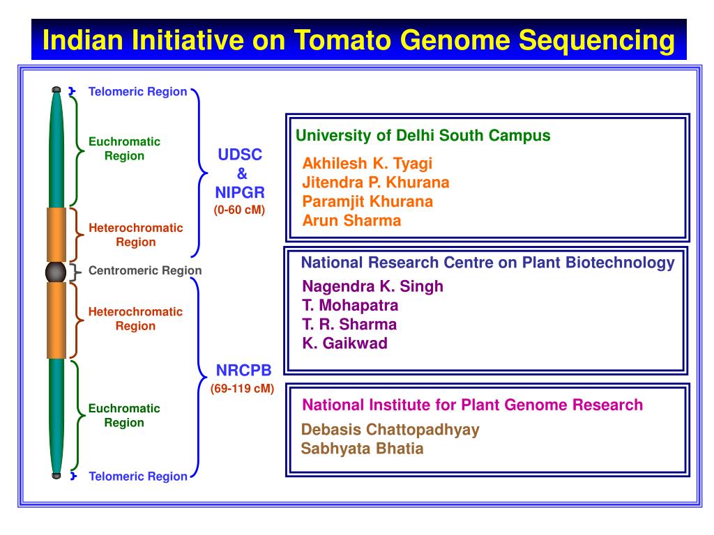 PPT - Tomato Genome Sequencing: Indian Contribution on Chromosome 5 ...
