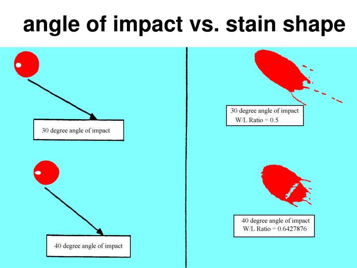 PPT - Blood Spatter Analysis PowerPoint Presentation - ID:3579746