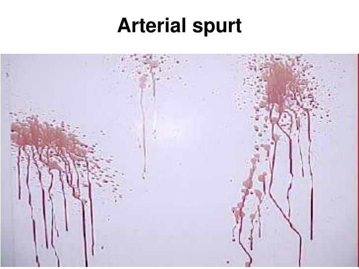 PPT - Blood Spatter Analysis PowerPoint Presentation - ID:3579746