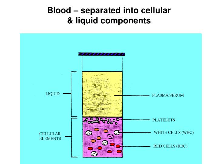 PPT - Blood Spatter Analysis PowerPoint Presentation - ID:3579746