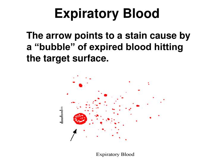 PPT - Blood Spatter Analysis PowerPoint Presentation - ID:3579746