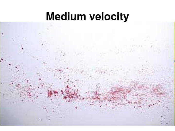 PPT - Blood Spatter Analysis PowerPoint Presentation - ID:3579746