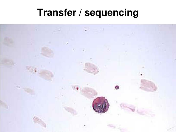PPT - Blood Spatter Analysis PowerPoint Presentation - ID:3579746