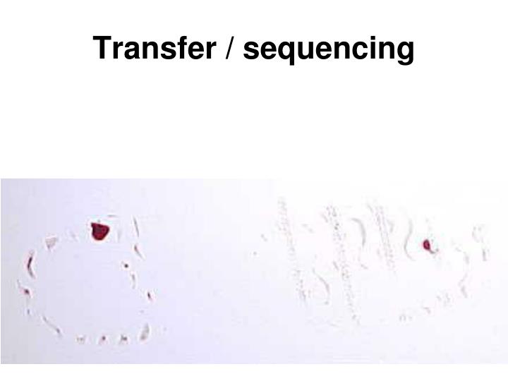 PPT - Blood Spatter Analysis PowerPoint Presentation - ID:3579746