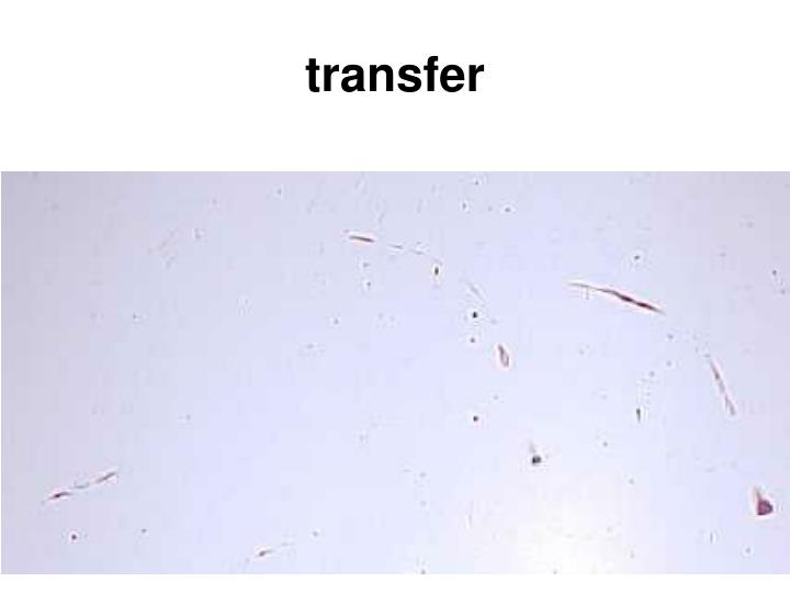PPT - Blood Spatter Analysis PowerPoint Presentation - ID:3579746