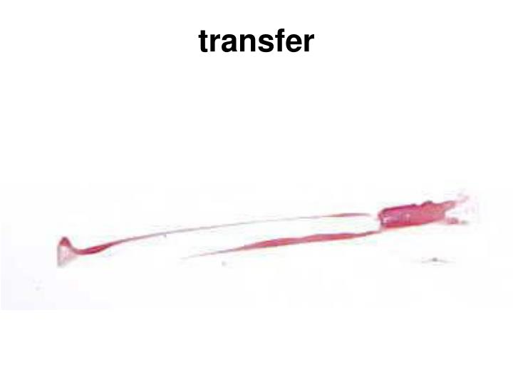 PPT - Blood Spatter Analysis PowerPoint Presentation - ID:3579746