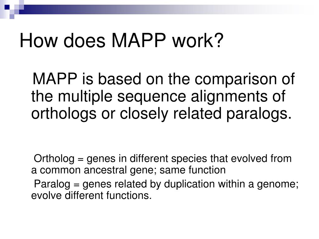 PPT What Is MAPP MAPP MMR PowerPoint Presentation Free Download